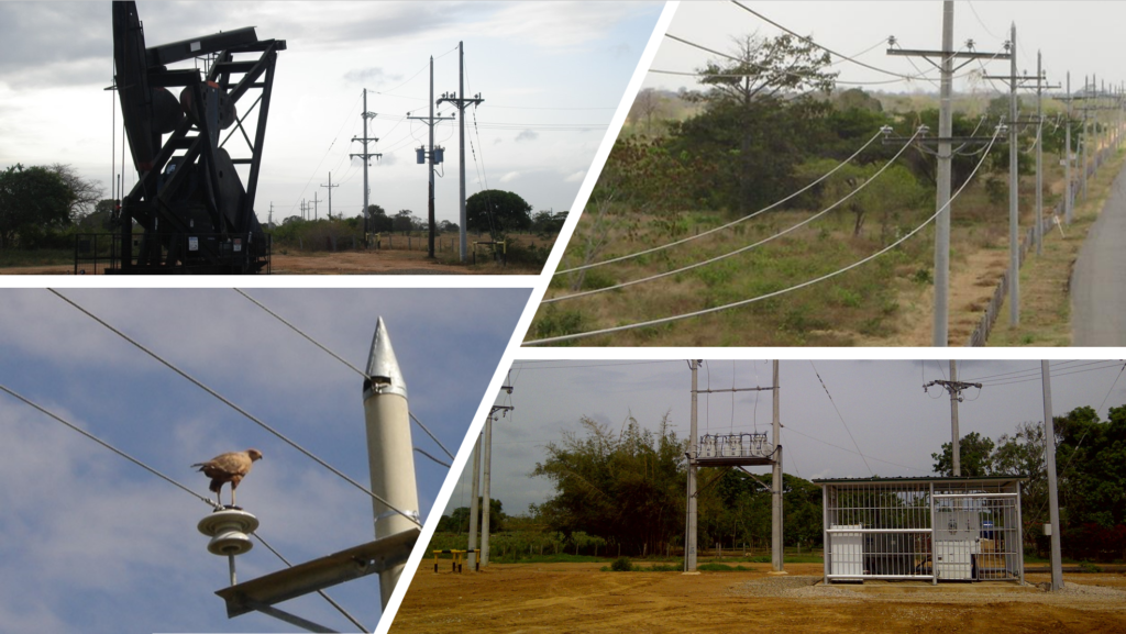 Electrical Reliability in Oil and Gas: A Study Case | Altus Dexter